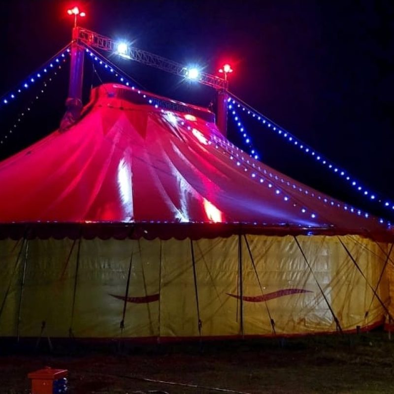 Home - Circus Wonderland